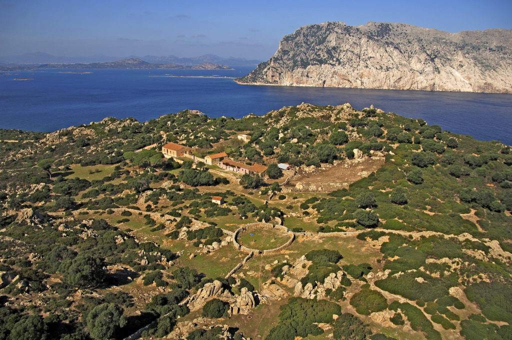 PIM ATLAS | Isola di Molara