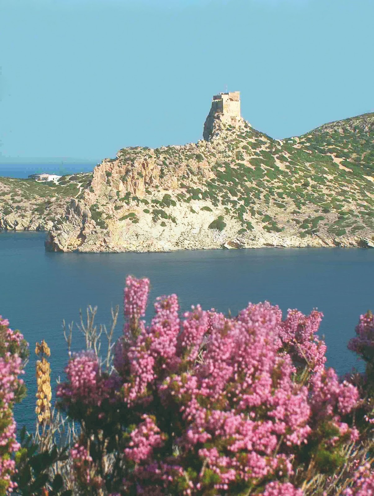 PIM ATLAS | Cabrera Gran